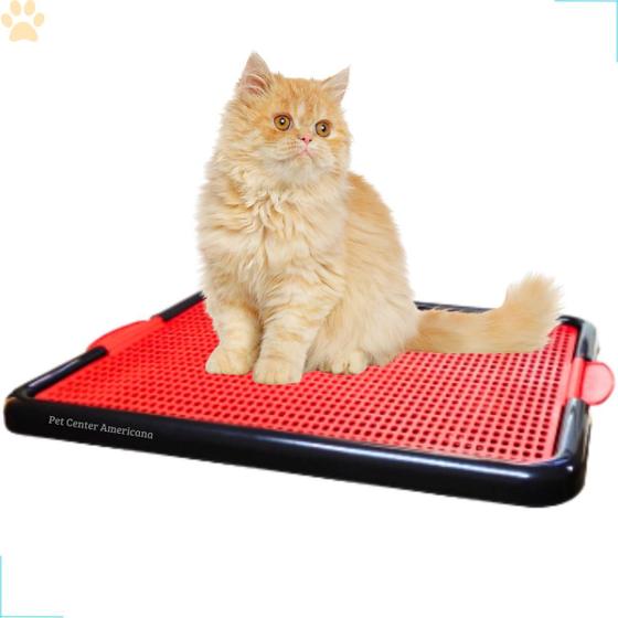 Tapete Coletor de Areia para Gato lavável Bandeja Coletora Areia para ...