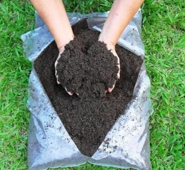 Terra preta adubada 5kg - Terra preta Florescer - Terra para Jardim ...