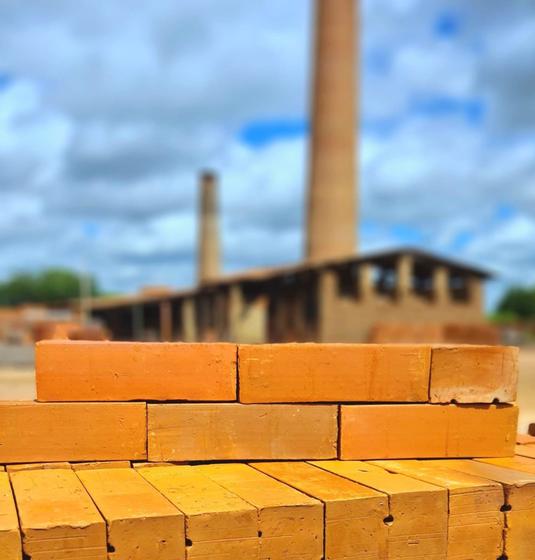 Tijolo maciço - Barrokent - Outros Pets - Magazine Luiza