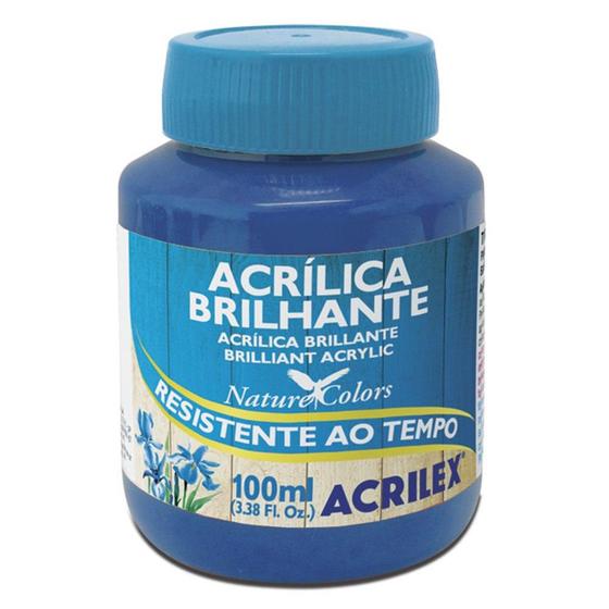 Tinta acrílica brilhante 100ml azul turquesa 501, Cor: Unica, Tamanho ...
