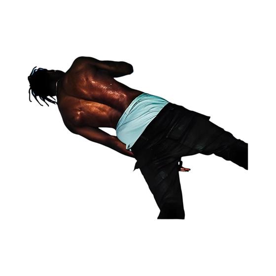 Travis Scott Rodeo Astroworld Música Álbum Capa Lona Arte Da Parede ...