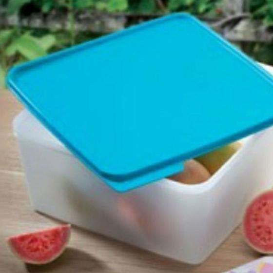 Tupperware Basic Line 5 Litros - Pote - Magazine Luiza