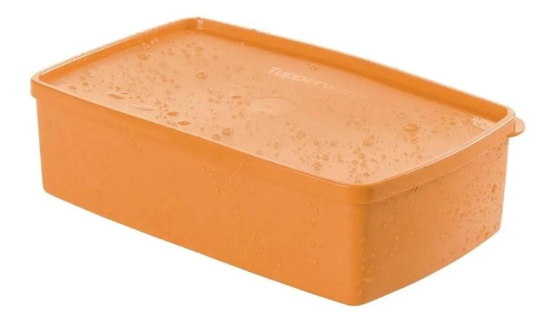 Tupperware Caixa Ideal 1,4l Freezer - Pote - Magazine Luiza