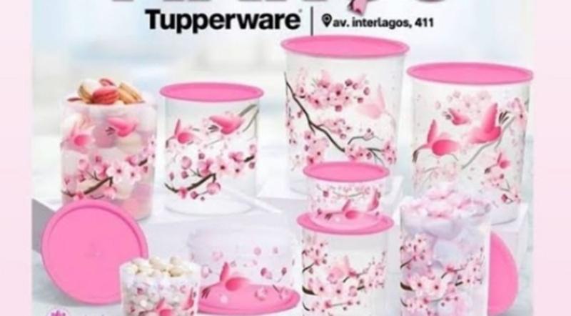 Tupperware Instantaneas de armazenamento 9 pecas ( garsa Rosa) - Pote ...