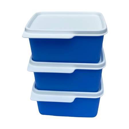 Tupperware Kit Basic Line 500ml Azul - Pote - Magazine Luiza