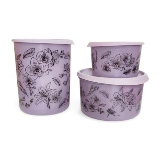Tupperware Kit Instantânea Pote Geladeira PDA Bea Nível 1 - Organizador ...