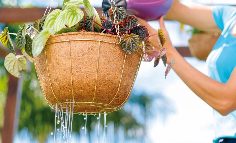 Vaso Cuia De Fibra De Coco GIGANTE com Suporte e Corrente - Nutriplan ...
