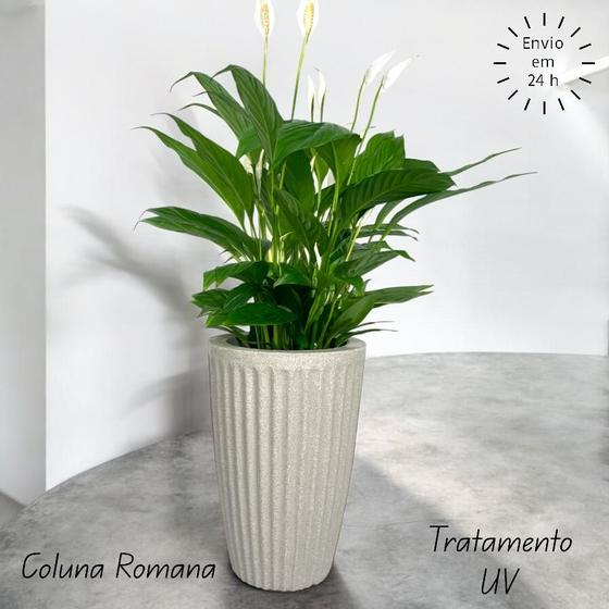 Vaso decorativo coluna romana para plantas casa e jardim tratamento uva ...