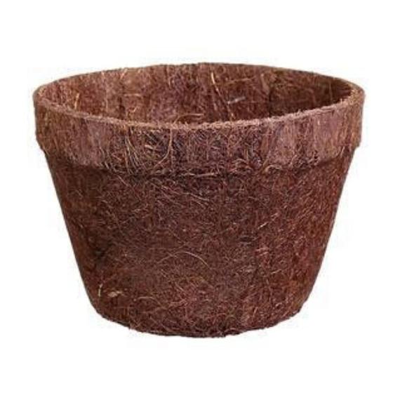 Vaso Pequeno Coquim em Fibra de Coco Nº 10 - Vasos para Plantas ...