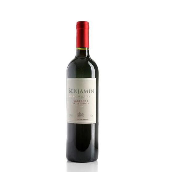 Vinho Benjamin Nieto Cabernet Sauvignon 750ml - Vinho - Magazine Luiza