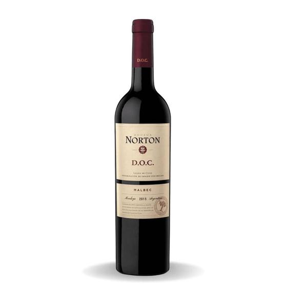 Vinho Norton Tinto Seco Argentino Doc Malbec 2020 750Ml - Vinho - Magazine Luiza