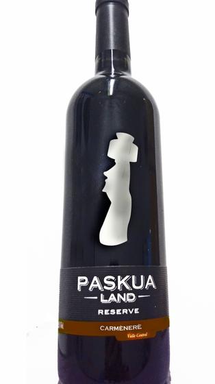 Vinho Paskua Land Reserve Carmènèrè - Vinho - Magazine Luiza