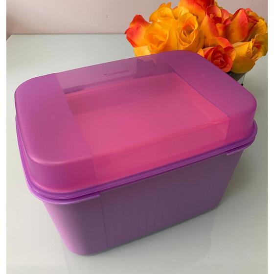 Visual box 4,5 litros Tupperware modular organizador - Caixa ...