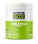 Creatina monohidratada powder synthesize 300g - Creatina - Magazine Luiza