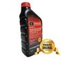 Óleo Sintético Original Ford Motorcraft 5W30 WSS-M2C913-D ...