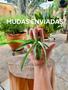 Orquidea Rodriguezia Alba Haste Floral Adulta Toquinho - DoceL@r ...