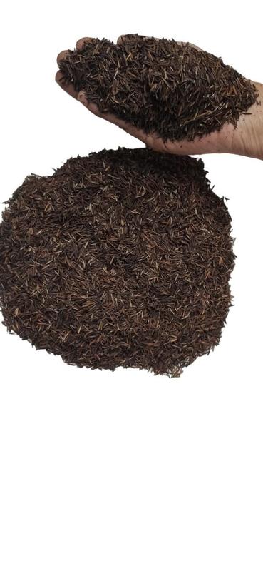 10 Litros Casca de Arroz Carbonizada CAC - Mogifertil - Casca para ...