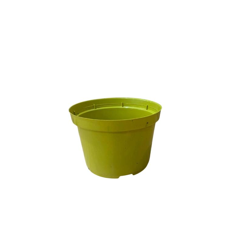 10 Potes Para Mudas 11 x 7 Cm Colorido Goyama - Muda - Magazine Luiza