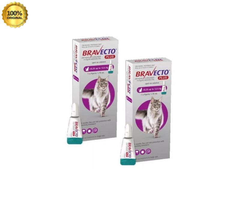 2 Bravecto Plus para Gatos De 6,25 A 12,5 Kg Antipulgas e Carrapatos 500mg - MSD - Antipulga e ...