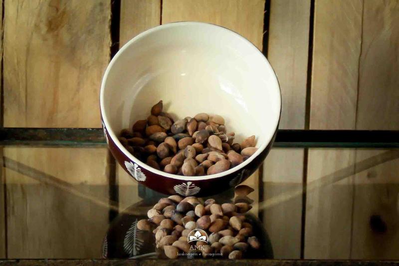 20 Sementes de Veludo Branco - Amk - Jardinagem E Paisagismo - Sementes ...