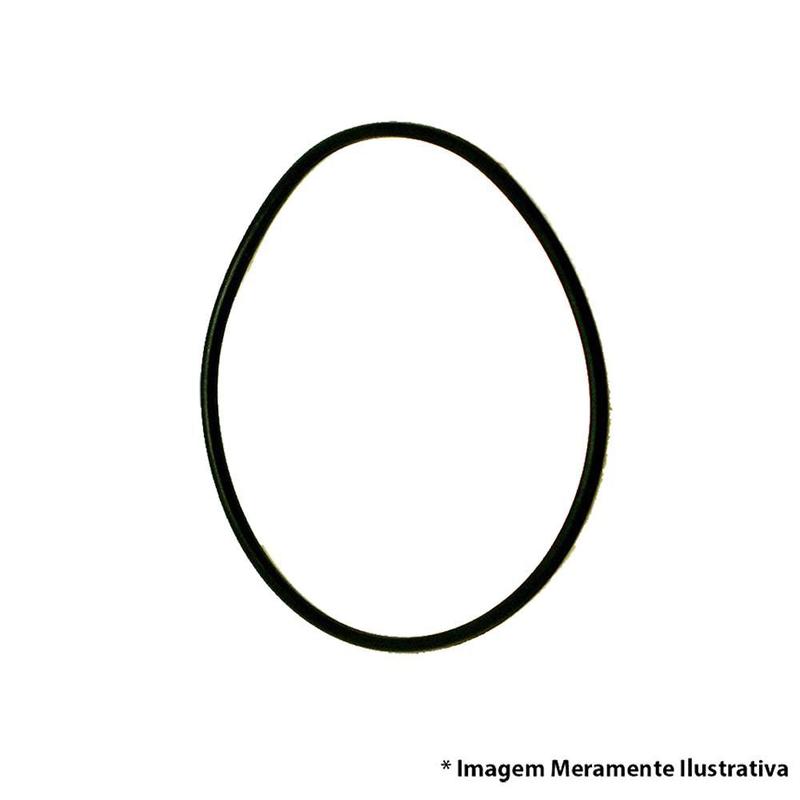 Anel Vedacao Bomba Combustivel Cummins Volkswagen Ford Alta Pressao ...