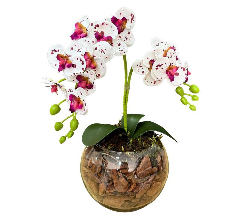 Arranjo Completo Orquídea Siliconada com Folhas Vaso Vidro - Chen - Flores Artificiais ...