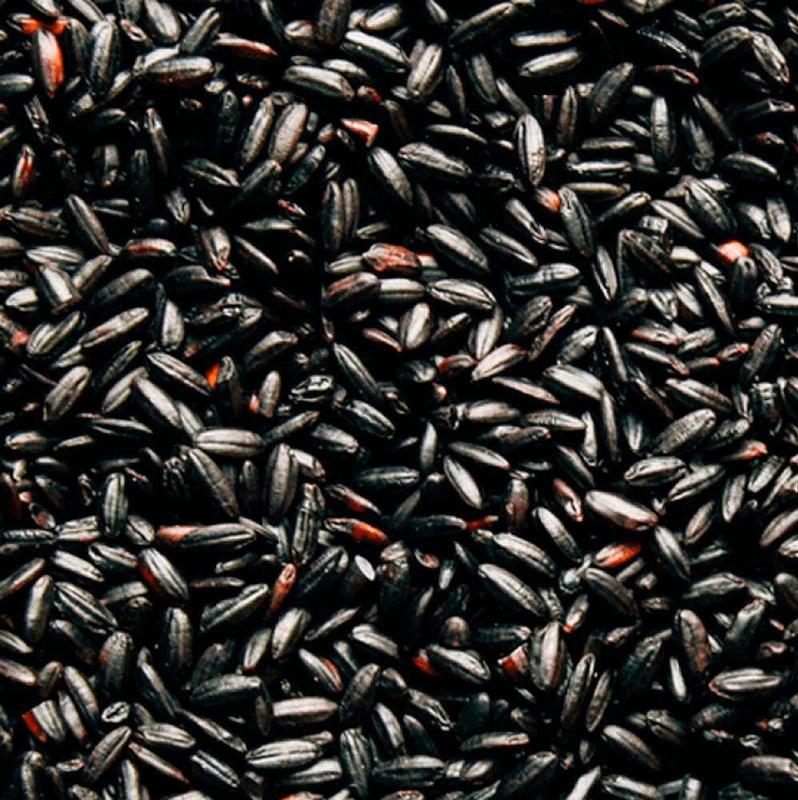 Arroz Negro Integral - 2Kg - N4 NATURAL - Arroz - Magazine Luiza