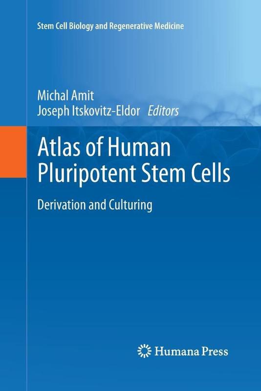 Atlas of Human Pluripotent Stem Cells - Mapas - Magazine Luiza