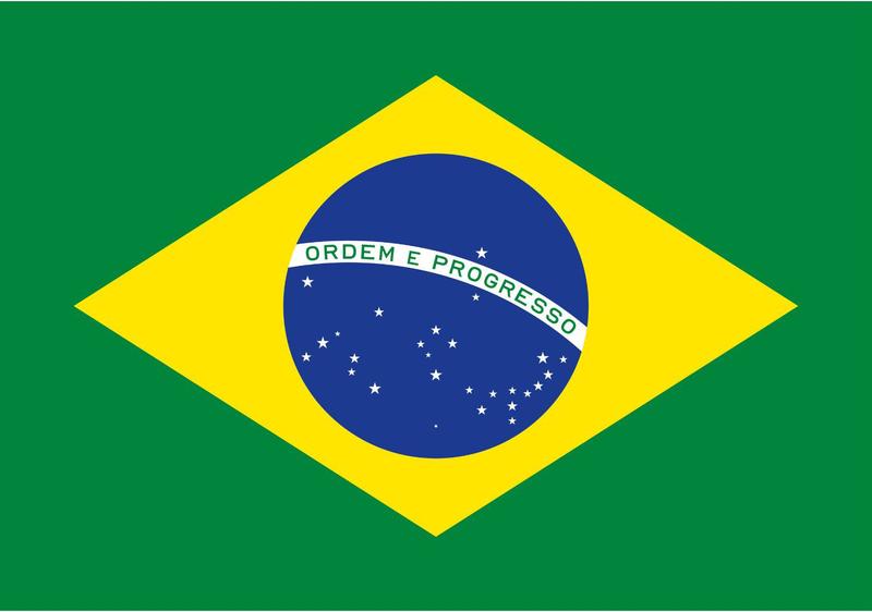 Bandeira Do Brasil Estampada Uma Face 90x128cm Pátria Bordados