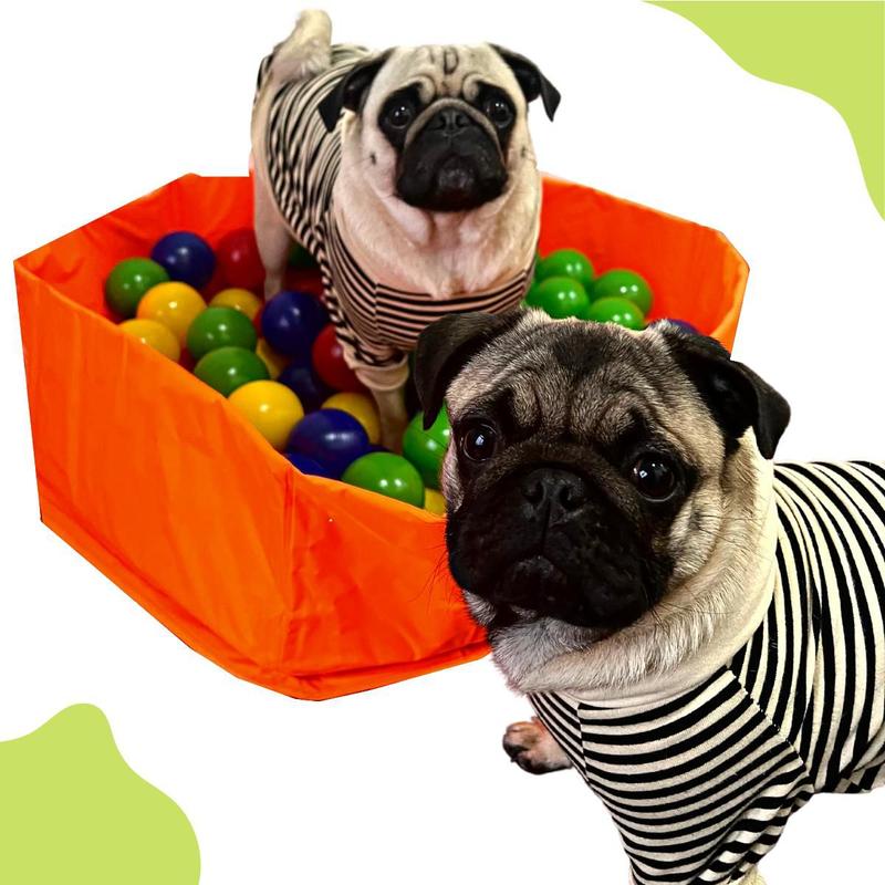 Bolinhas para Cachorro Kit 100 Uni Brinquedo Pet Divertido - Bolinhas ...