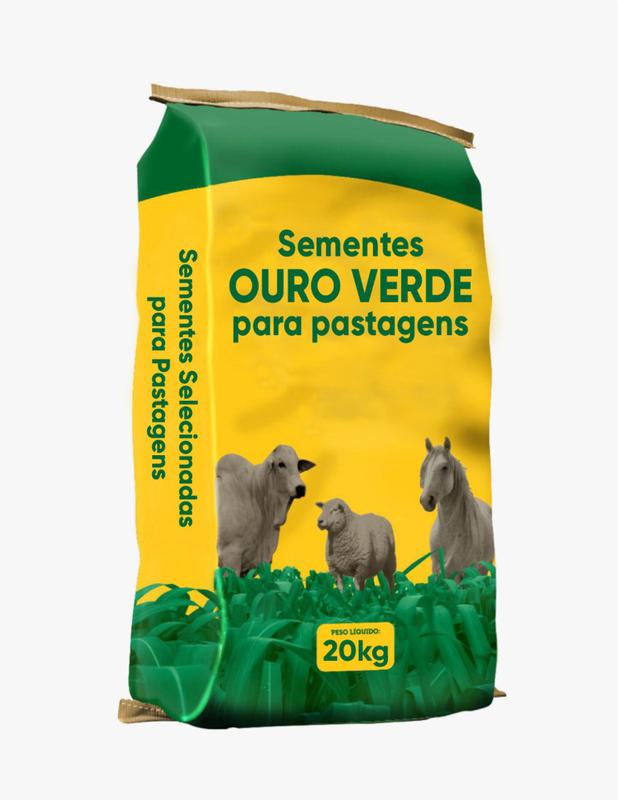Brachiaria Humidicola Capim Quicuio 2 Kg Sementes - ouro verde ...