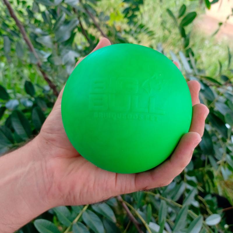 Brinquedo Cachorro Grande Bolinha Bola Pet Anti Stress Maciça - BIG ...