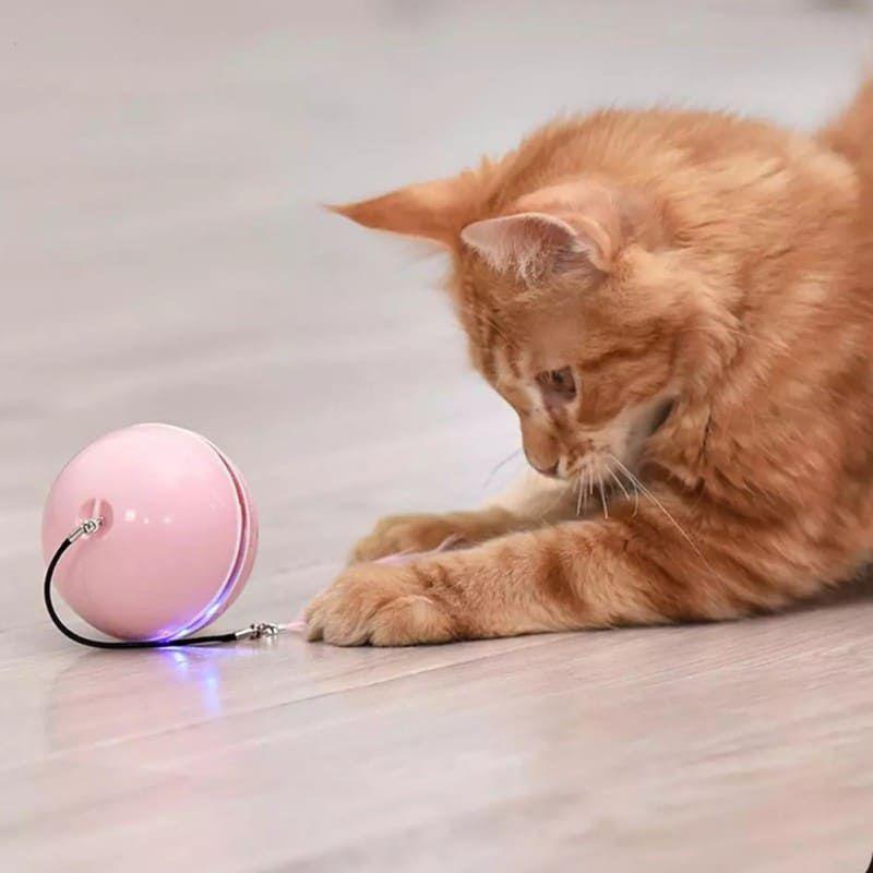 Brinquedo Para Gatos Bolinha Interativo Gato rosa - Cat Ball ...