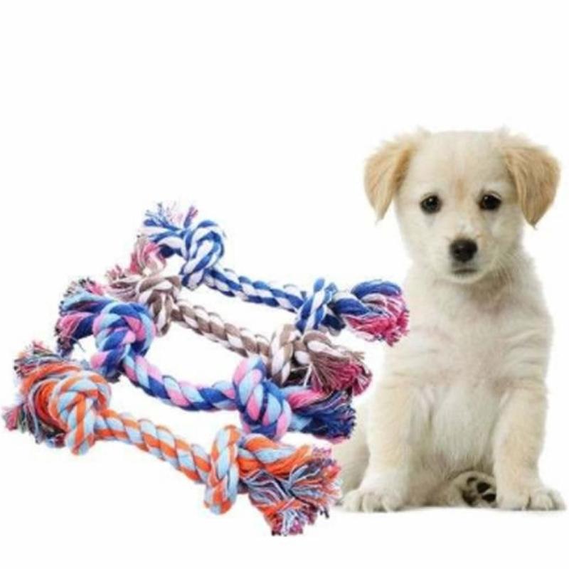 Brinquedo Pet Interativo Corda Grossa Puxar Morder Pets Caes - Mabuu ...