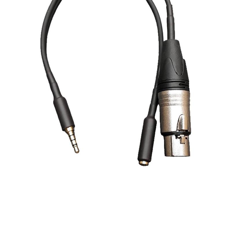 Cabo de Áudio para Xlr Fêmea e Saída P2 Fêmea - Fone e Microfone no Celular - Rafatec - Cabo P2 ...