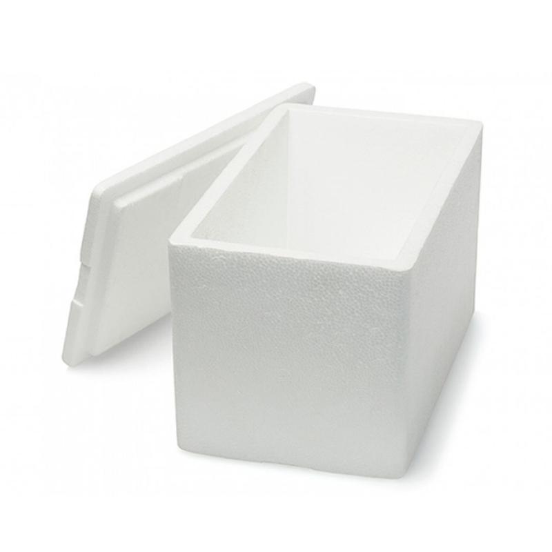 Caixa de Isopor Grande para Transporte de Medicamentos Emba - Caixa ...