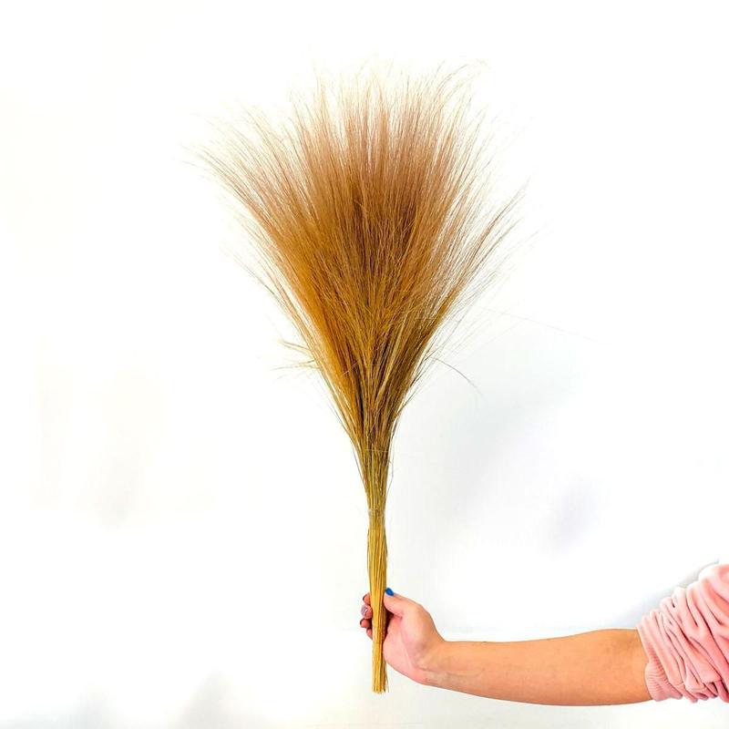 Capim Barba De Bode Para Decoração Maço - Natural - Plumas E Penas ...