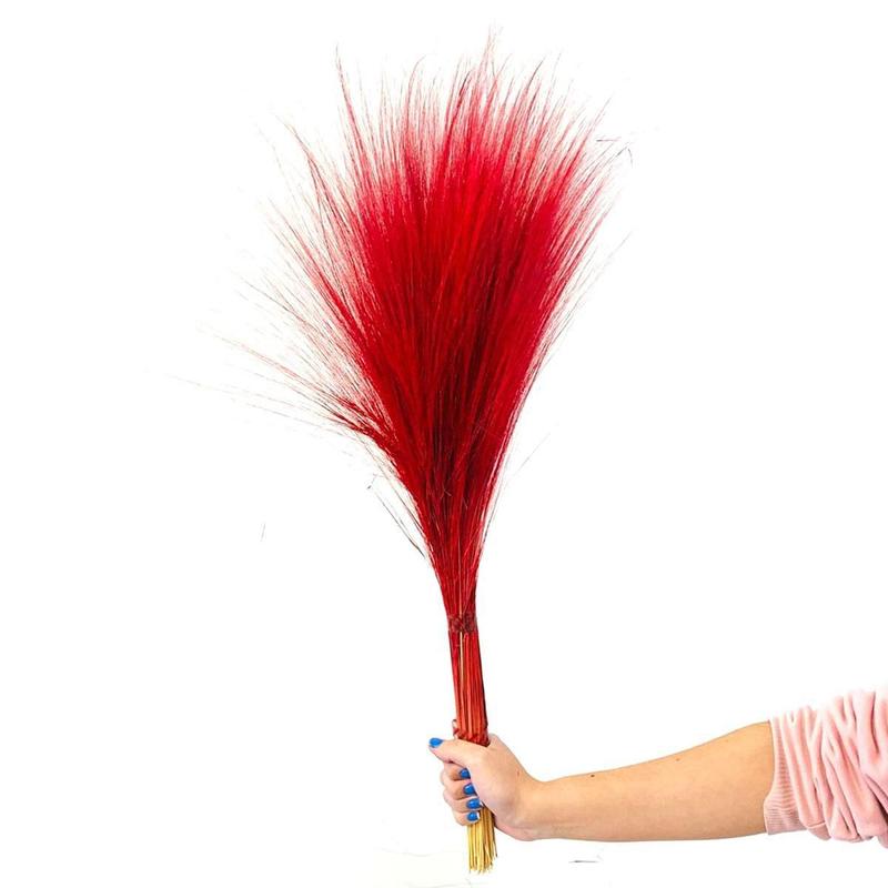 Capim Barba De Bode Para Decoração Maço - Natural - Plumas E Penas ...