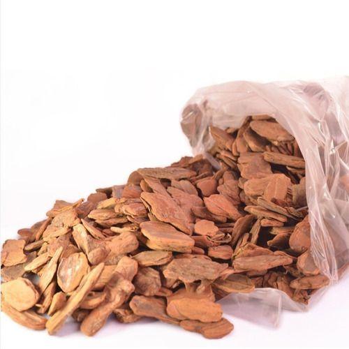 Casca Pinus Polida Premium Decoração Jardim Tratada 1kg - Brancalhão ...