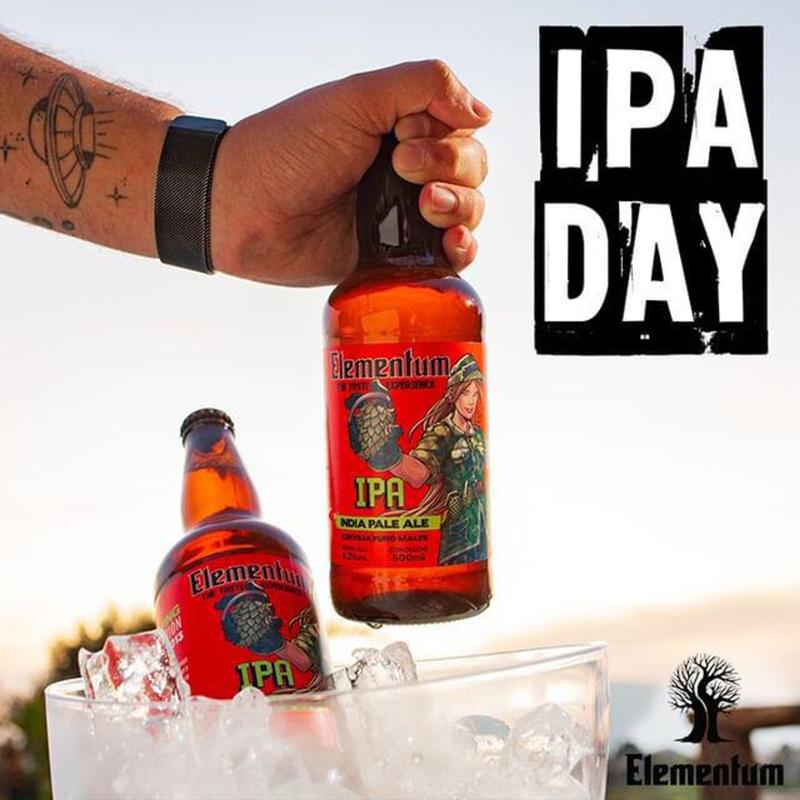 Cerveja Elementum IPA 500ml - Cerveja - Magazine Luiza