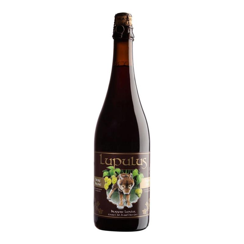 Cerveja Lupulus Brune 750ml - Cerveja - Magazine Luiza