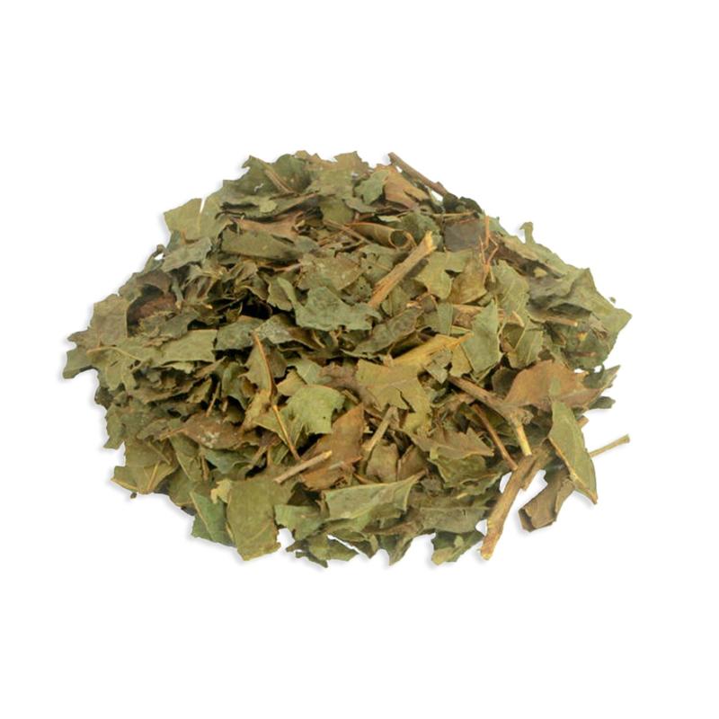 Chá de Bugre Porangaba Acelera Metabolismo 1 kg - Produtos Naturais ...