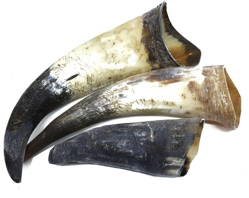 Chifre Bovino GG 1 und - Cibi Sani - Brinquedos Interativos ...