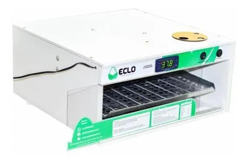 Chocadeira Automática 30 Ovos de Galinha - ECLO - Chocadeira - Magazine ...