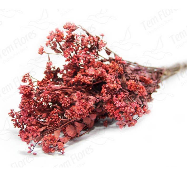 Chuvisco Flor Desidratada Buque Flores Secas - Casa Home Decoração ...