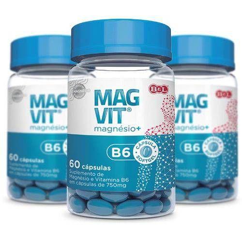 Cloreto De Magnésio PA Magvit + Vitamina B6 (Kit 3 Frascos) 180 ...