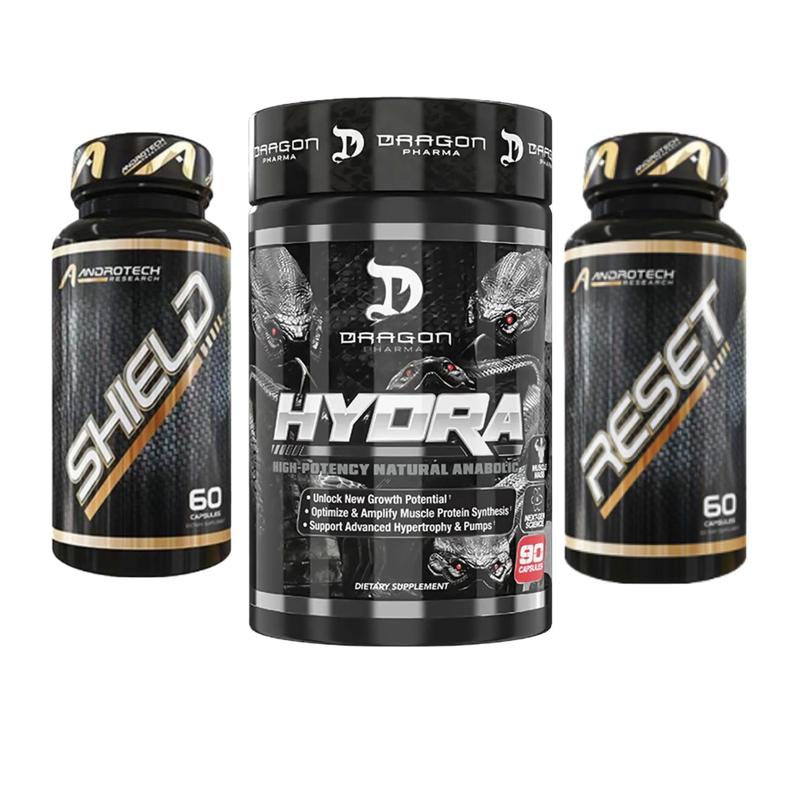 Combo Suplemento Hydra Dragon Pharma + Shield Androtech + Reset Androtech Research - Mochilas e ...