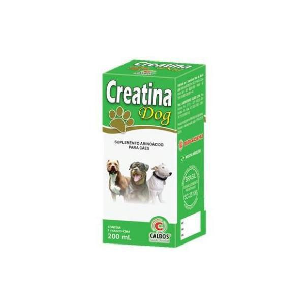 Creatina Dog-Pet 200 Ml Caixa Com 4 Un - Calbos - Kit de Suplementos ...