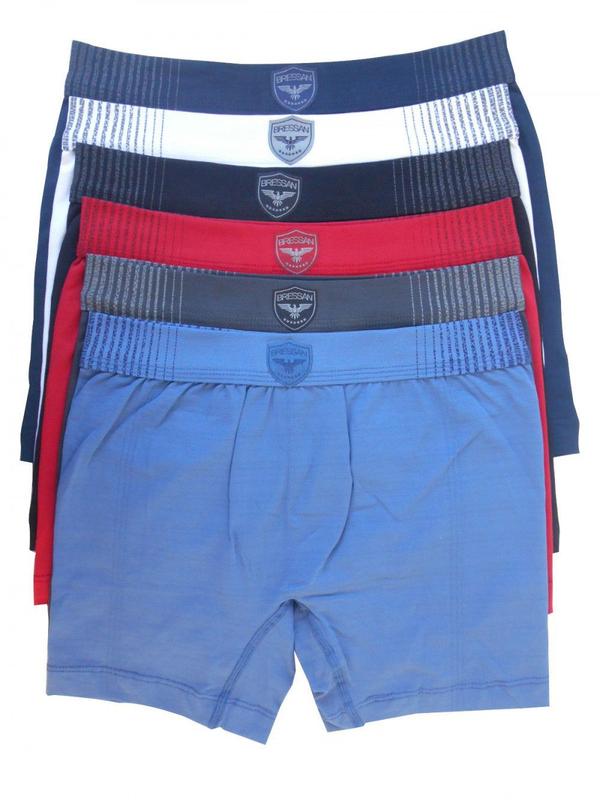 Cueca Boxer Sem Costura Bressan Microfibra Brasão Kit Com 6 - Cueca ...
