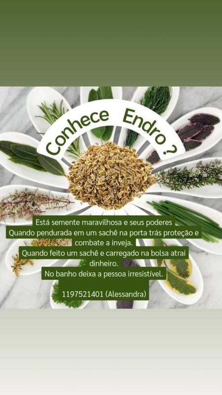 Endro - LAVANDA Sagrada Art.Religiosos - Tempero - Magazine Luiza